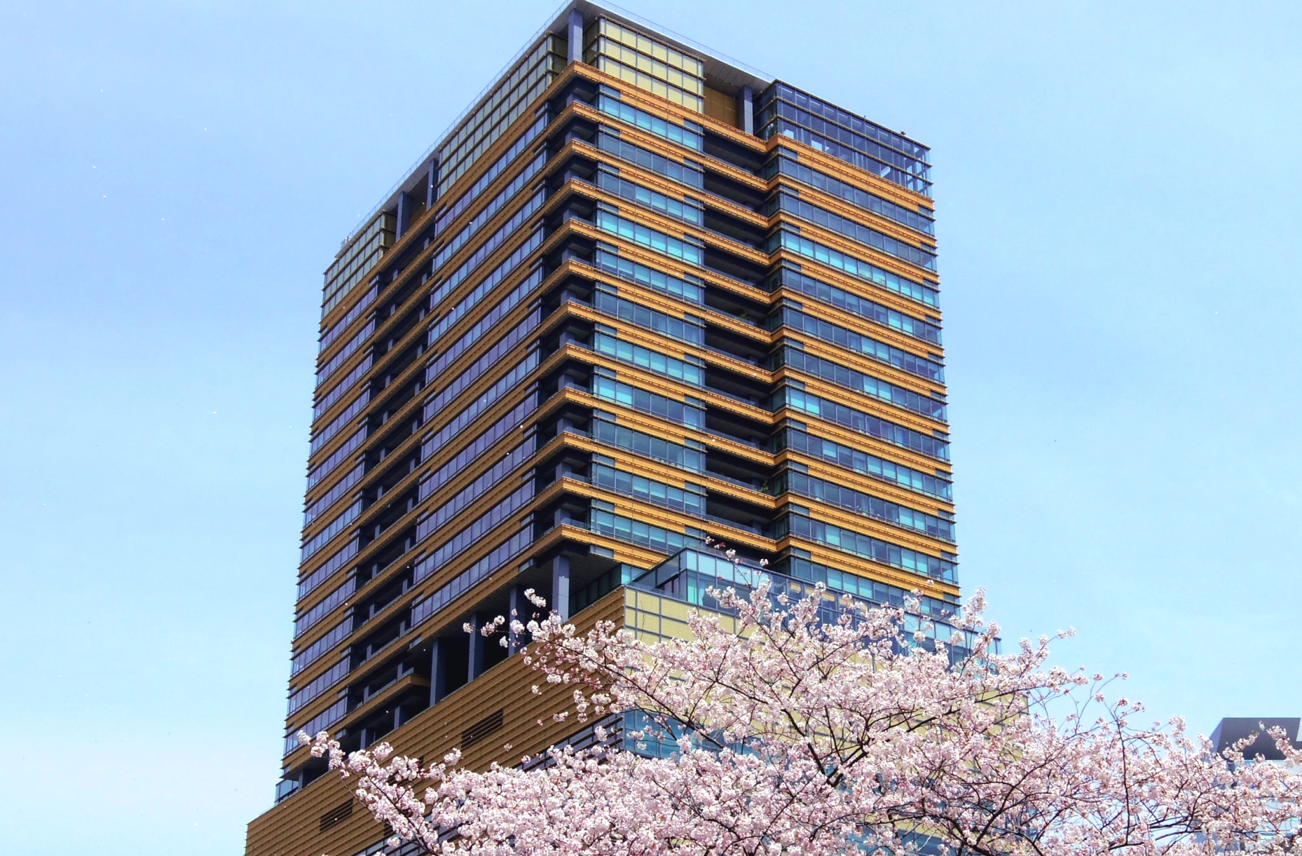 Homat Viscount | Sun Realty