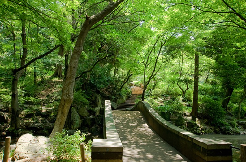 Arisugawa Memorial Park | Sun Realty